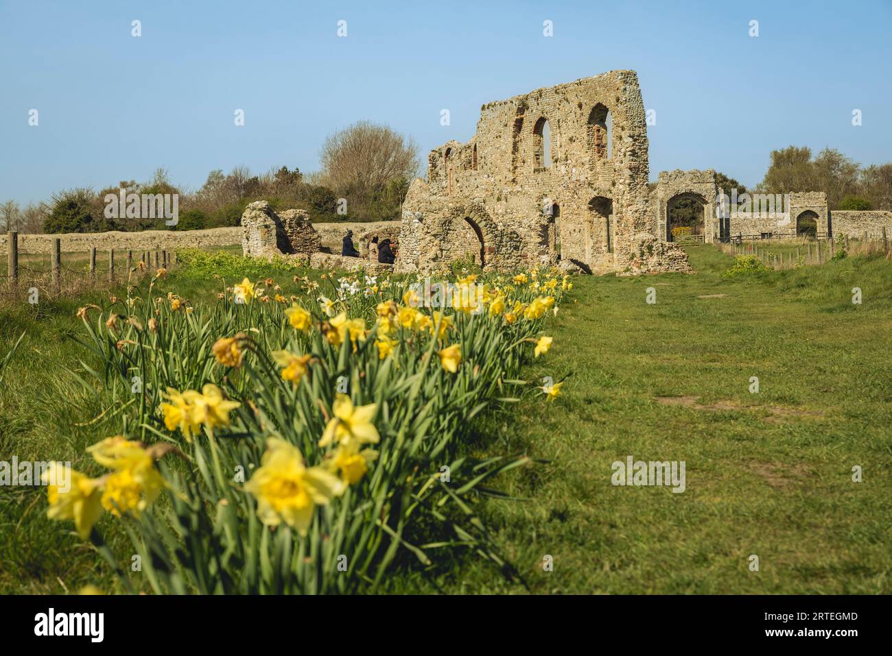 Greyfriars friary hi-res stock photography and images - Alamy