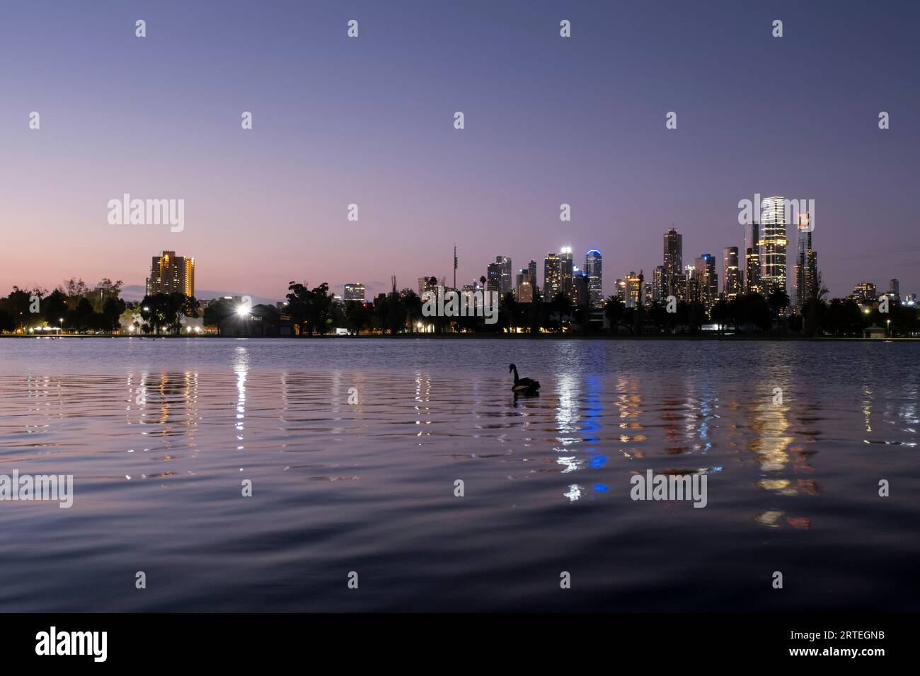 Melbourne skyline with Albert Park Lake in foreground and a lone swan ...