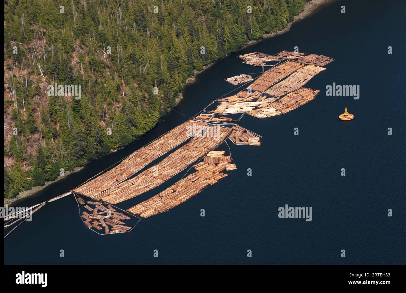 Logs are floated and will be loaded on a ship for export; Prince of ...