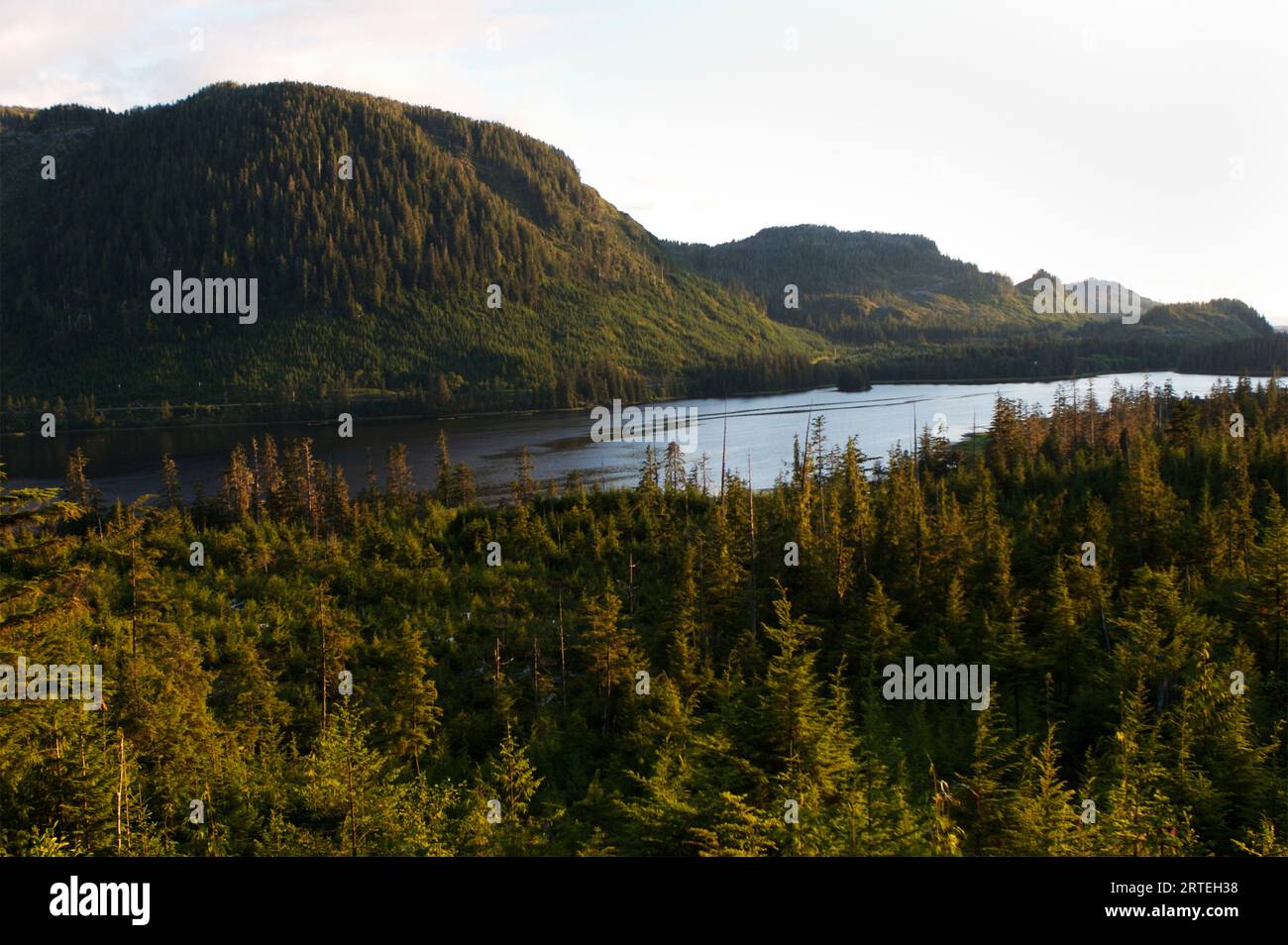 Second growth timber hi-res stock photography and images - Alamy