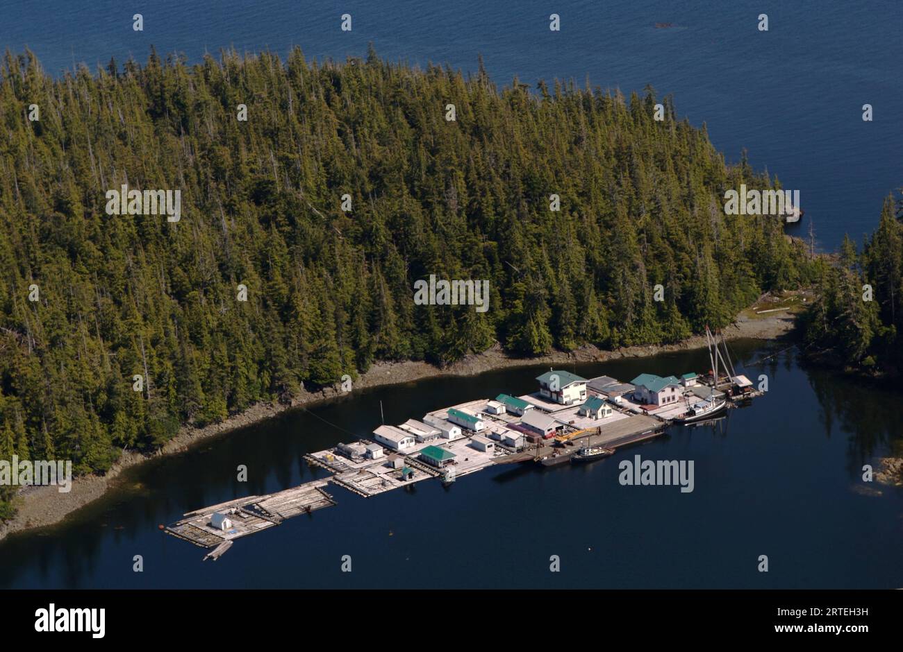Logging camp on a protected cove in Tongass National Forest, Alaska ...