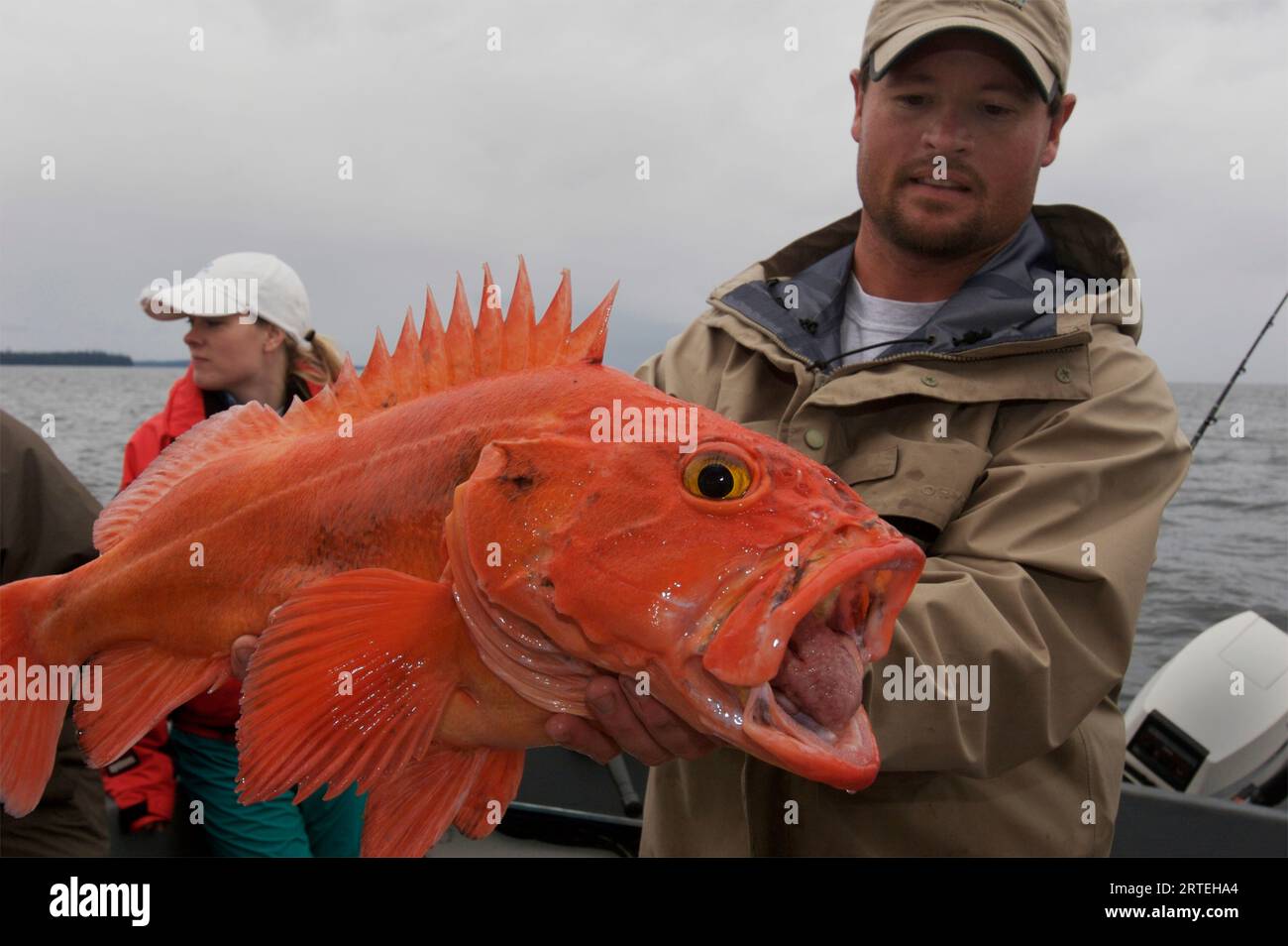 A man holds a yellow eye fish he caught off of Prince of Wales Island ...