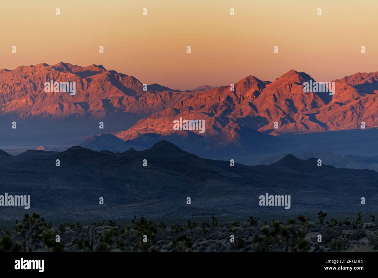 High desert where Ice Age Columbian mammoths, camels, lions, sloths and ...