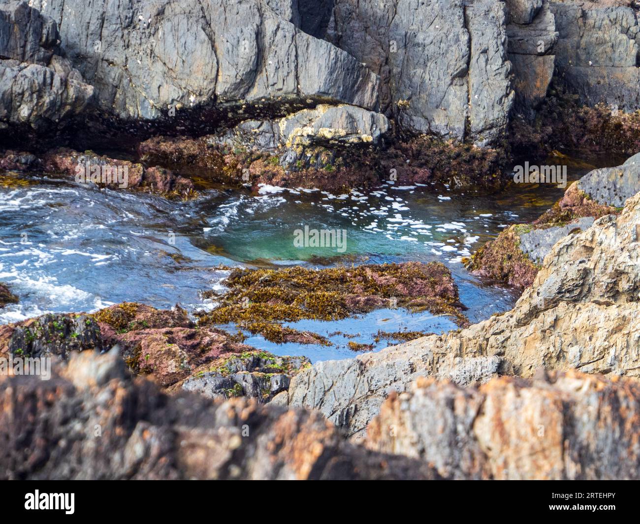 Pretty coastal scenery, blue green sea water and seaweed washing aeound ...