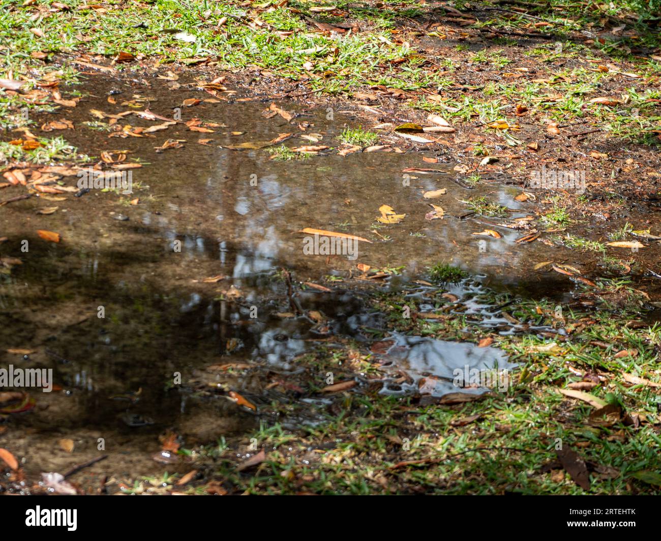 Rain on soaked soil hi-res stock photography and images - Alamy
