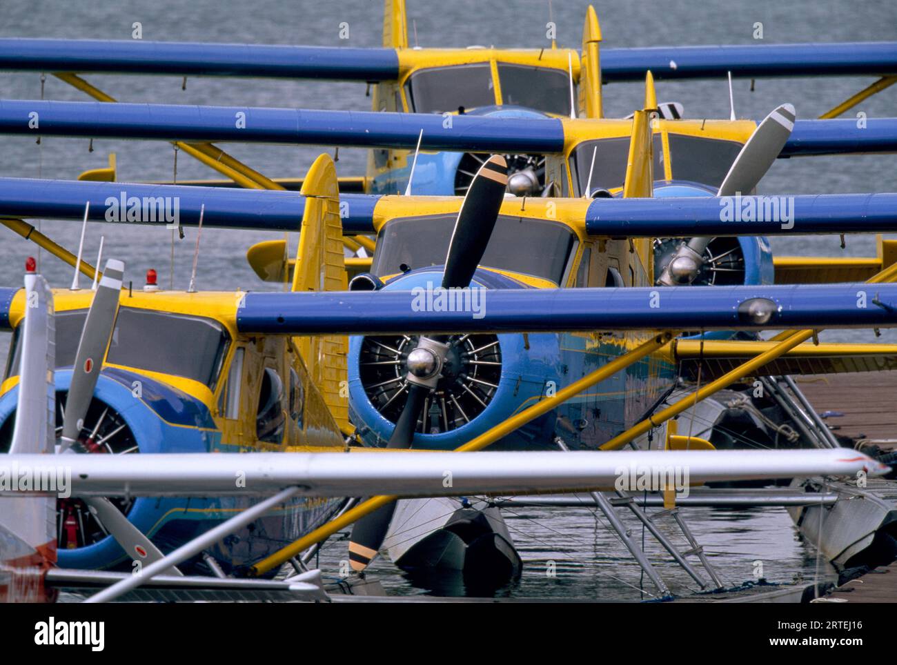 Colourful seaplanes parked in a row along a dock in Bristol Bay, Alaska ...