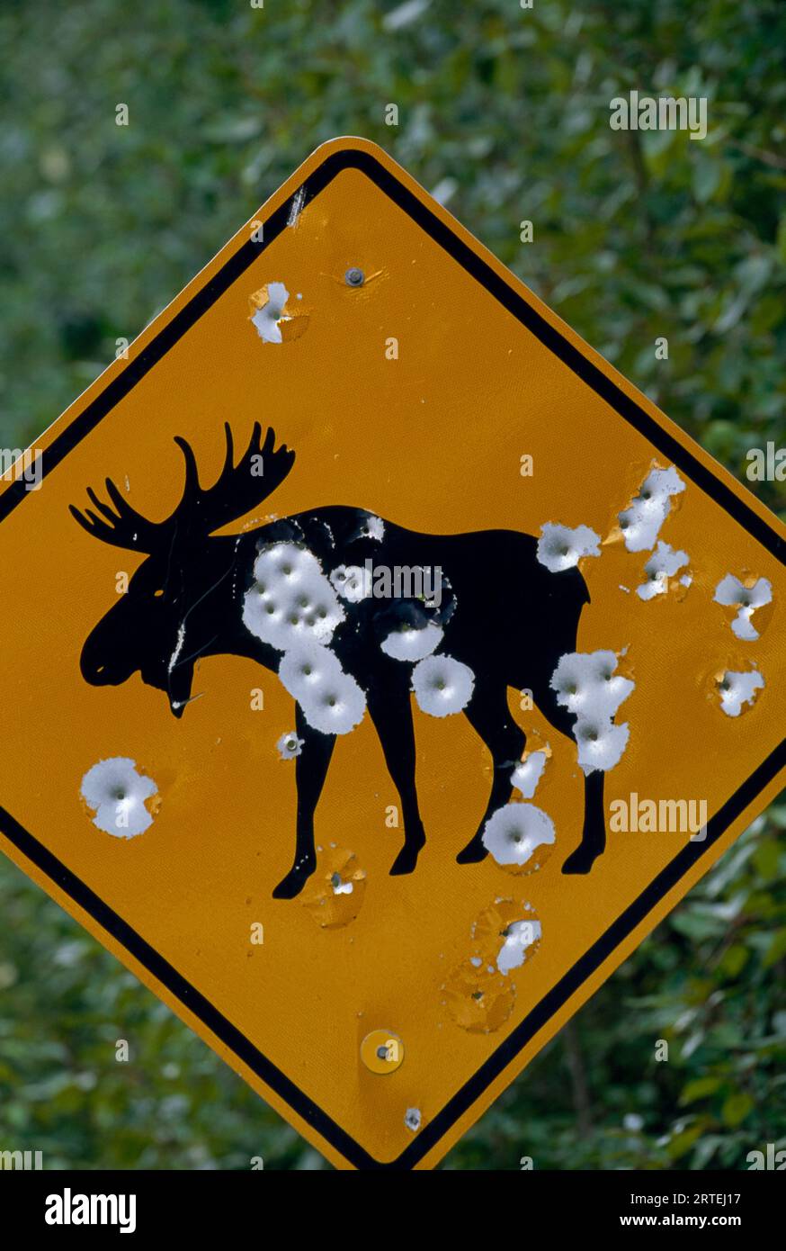 Moose crossing sign with damage from gunfire; Weld, Maine, United ...