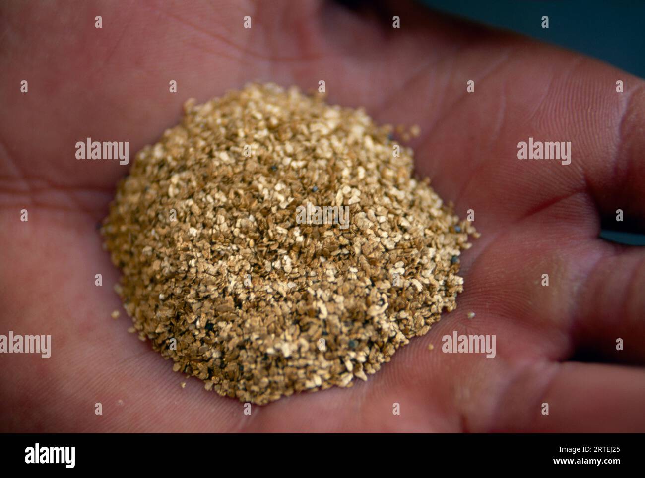 Close-up detail of a handful of tiny gold flakes; Steese Highway ...