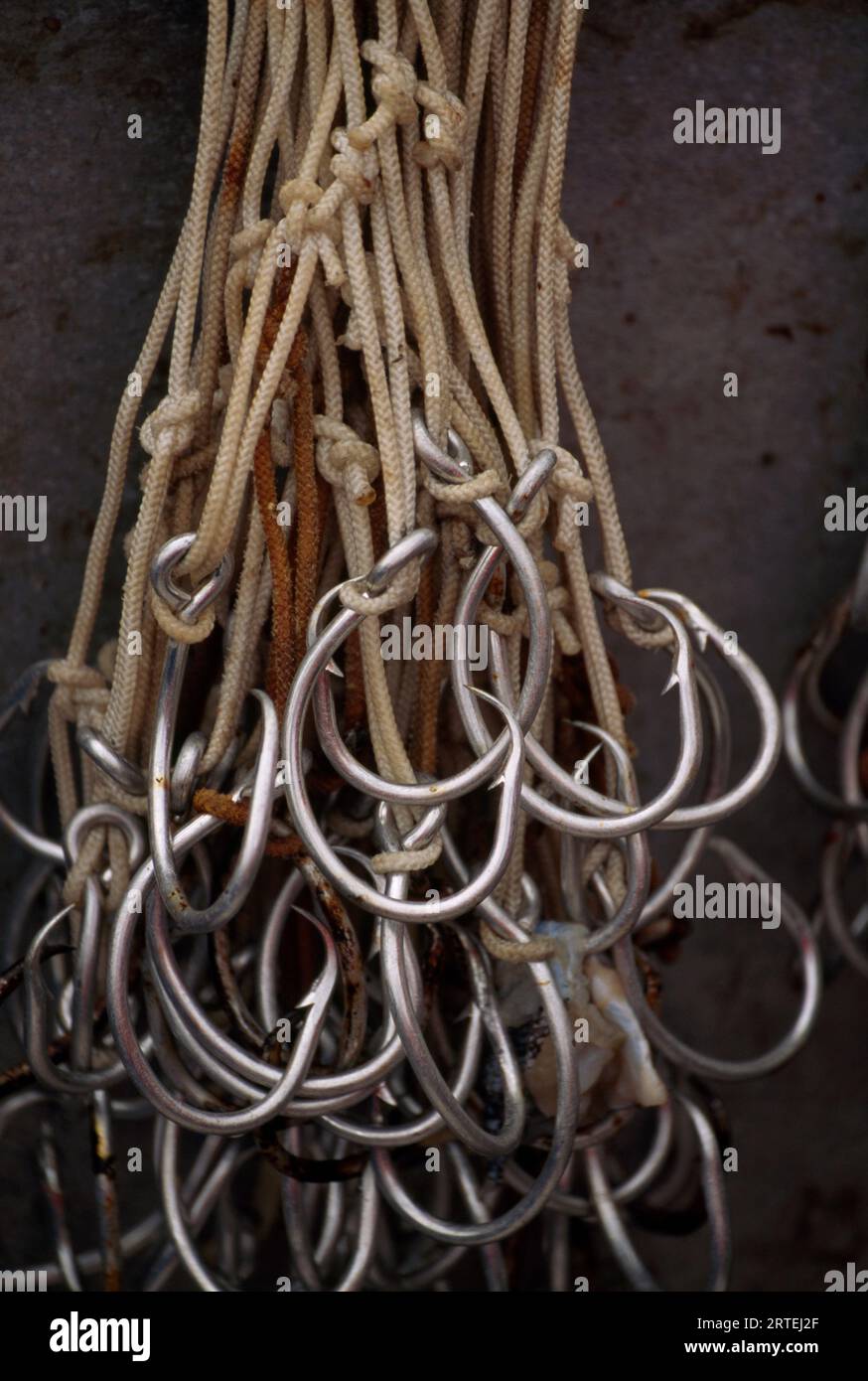 Grouping of silver fishhooks; Sitka, Alaska, United States of America ...
