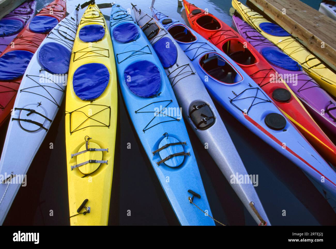Group of colourful sea kayaks; Valdez, Alaska, United States of America ...