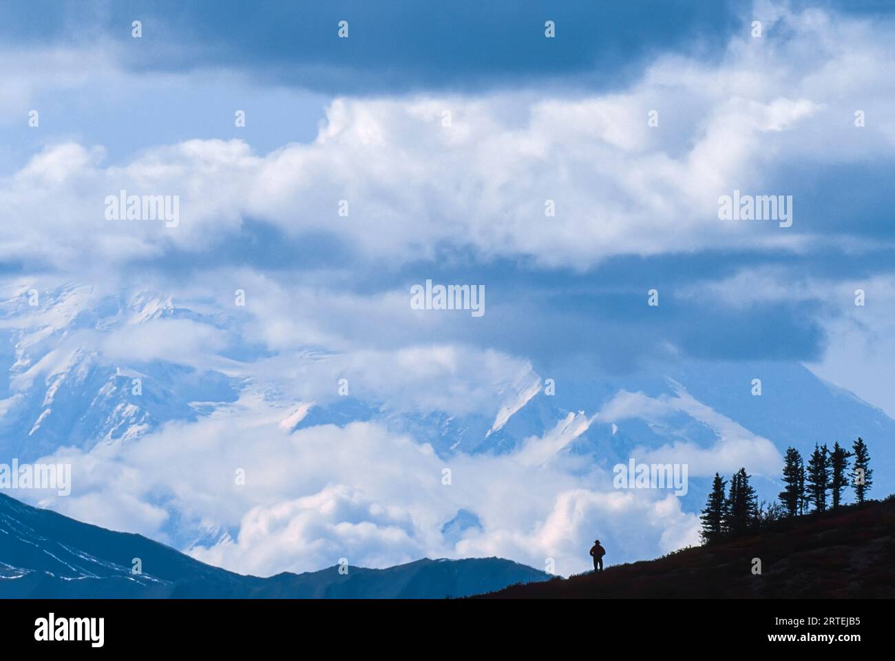 Hiker with a view in Denali National Park and Preserve, Alaska, USA ...
