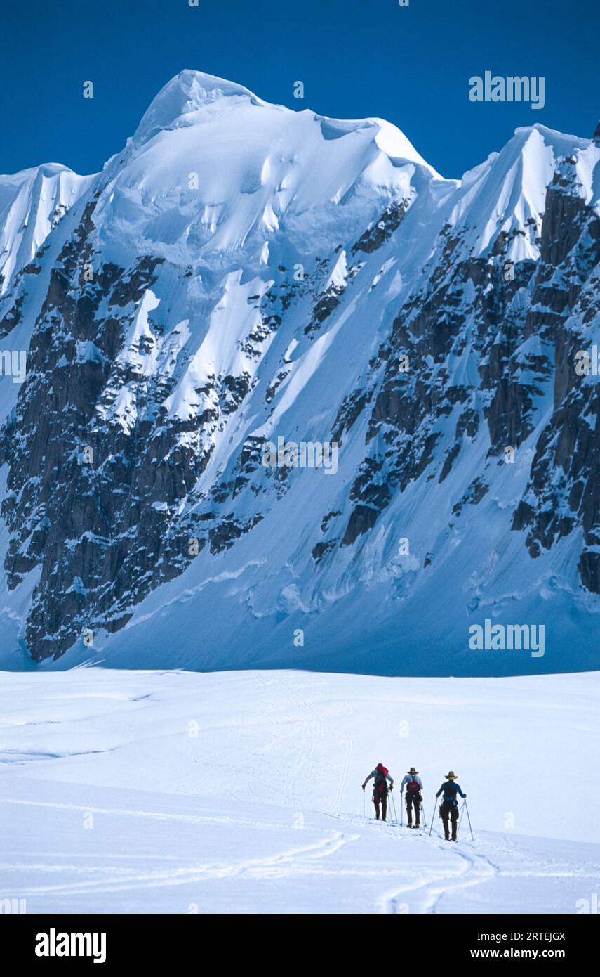 Skiing away from base camp near Mount Denali, Denali National Park and ...