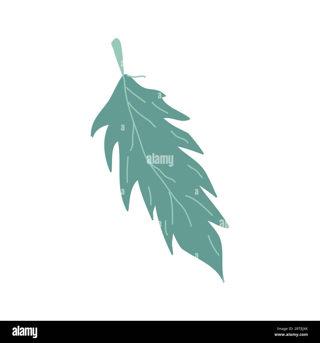 Hand drawn elements blue bird feather wild tribe. Design, flyer. Vector ...