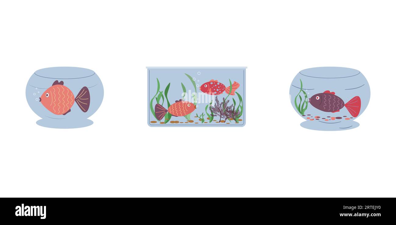 A set of painted pets aquarium fish. Design of a banner, a poster for a ...