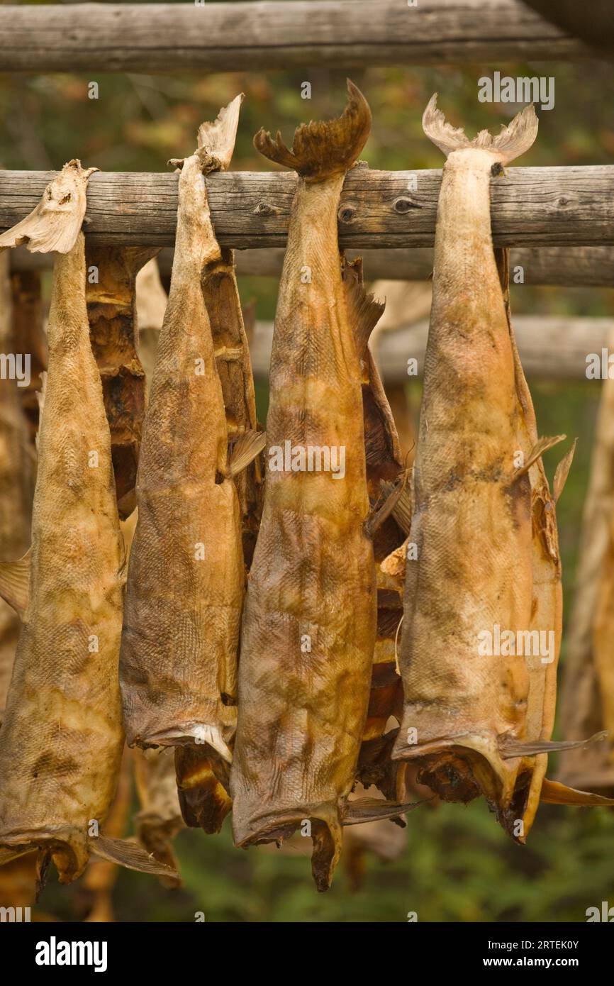Drying rack alaska hi-res stock photography and images - Alamy