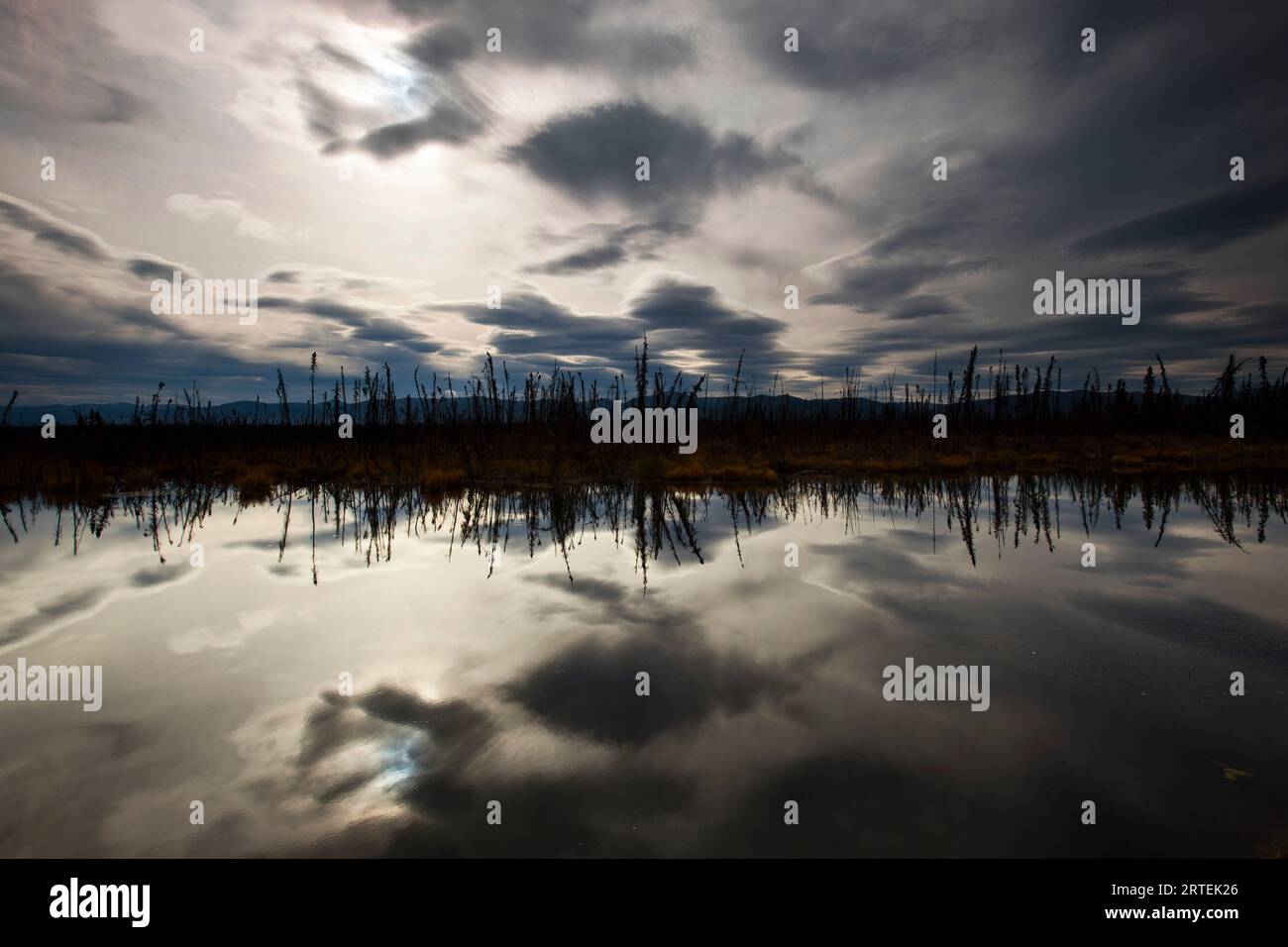 Steese national conservation area hi-res stock photography and images ...