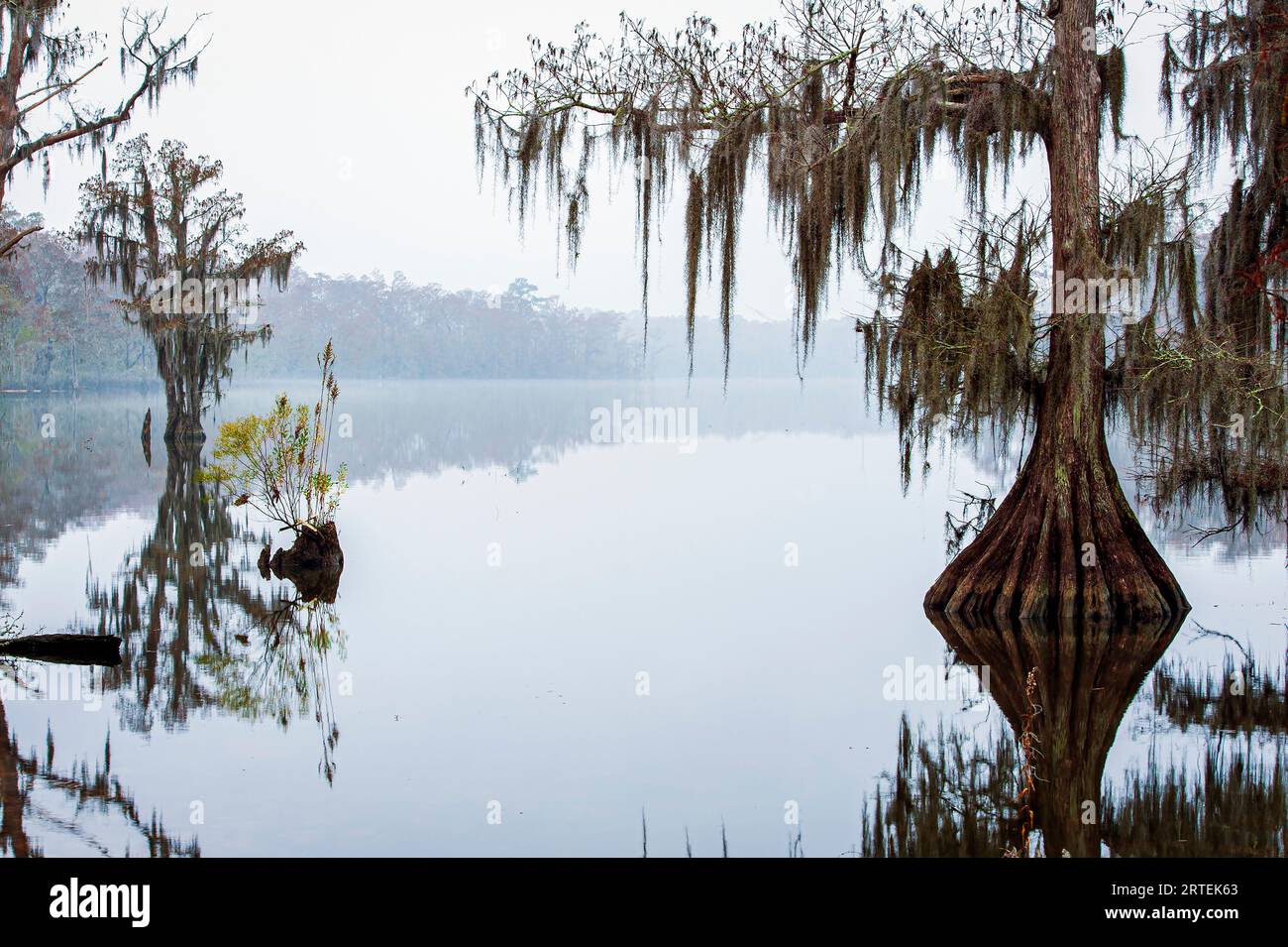 Louisiana bayou people hi-res stock photography and images - Alamy