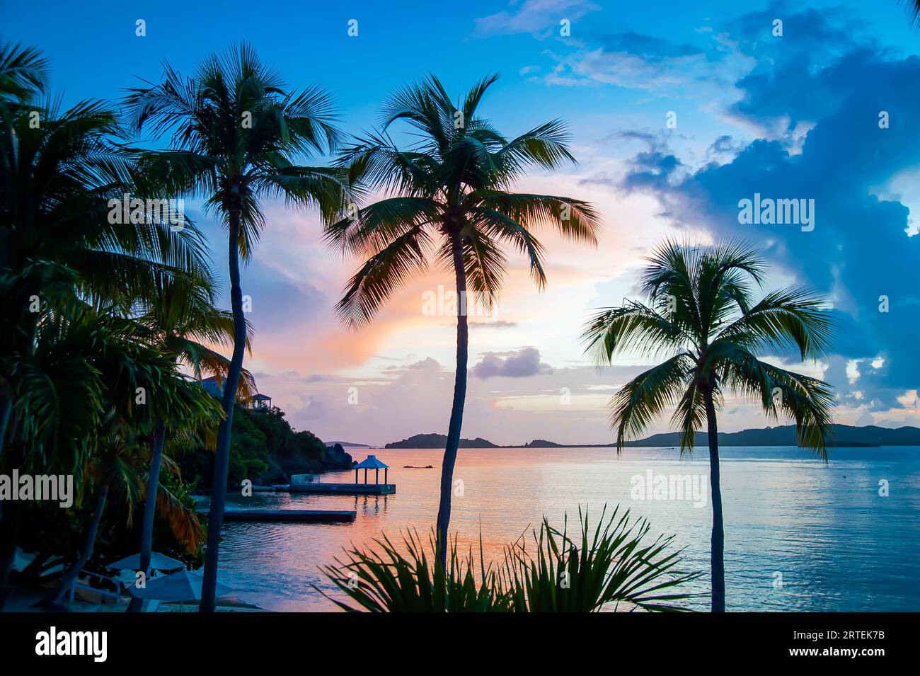 Sunset and palm trees on the Caribbean island of Saint Thomas, Virgin ...