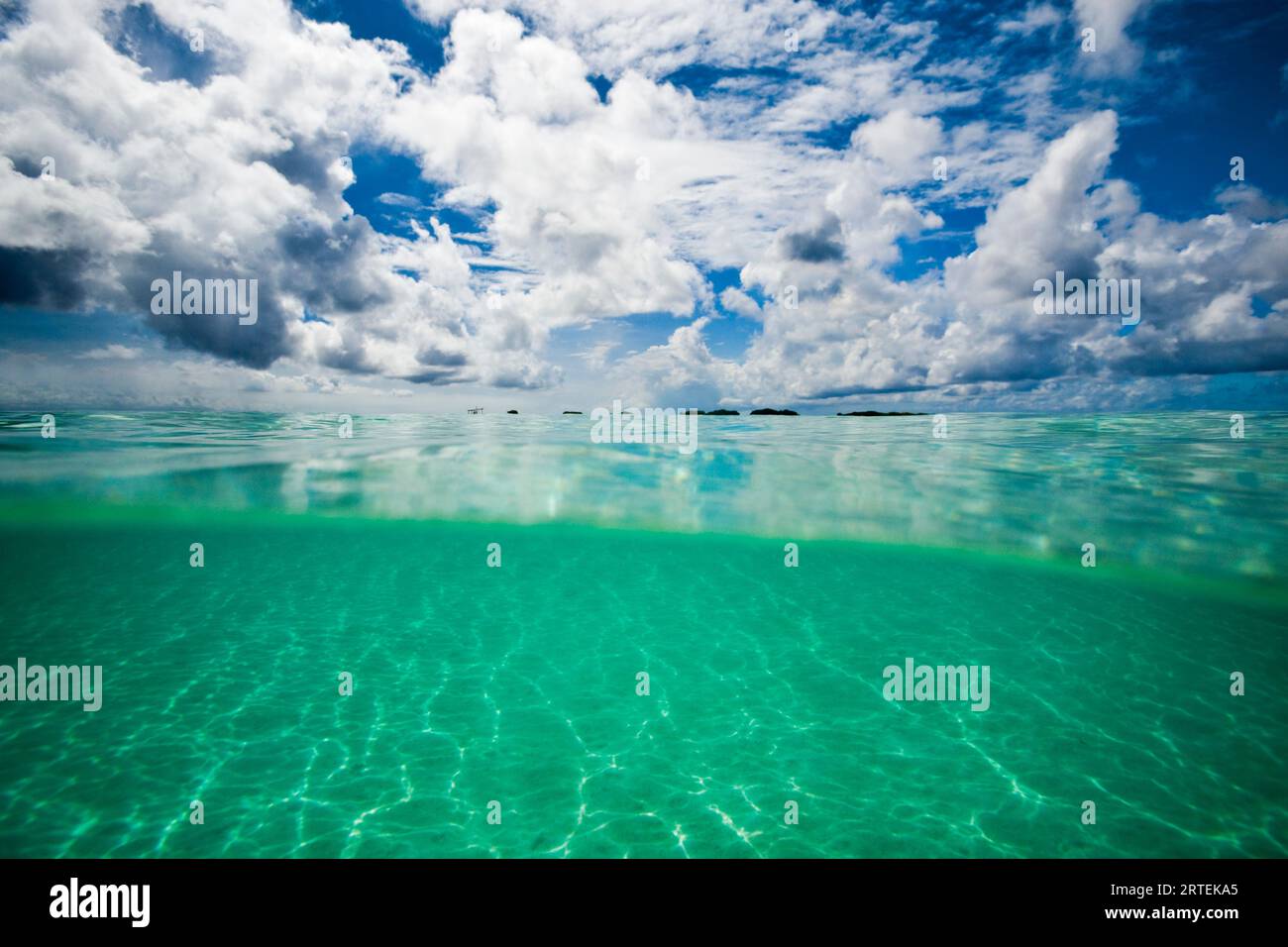 Split view of underwater, surface level of the Caribbean Sea and cloudy ...