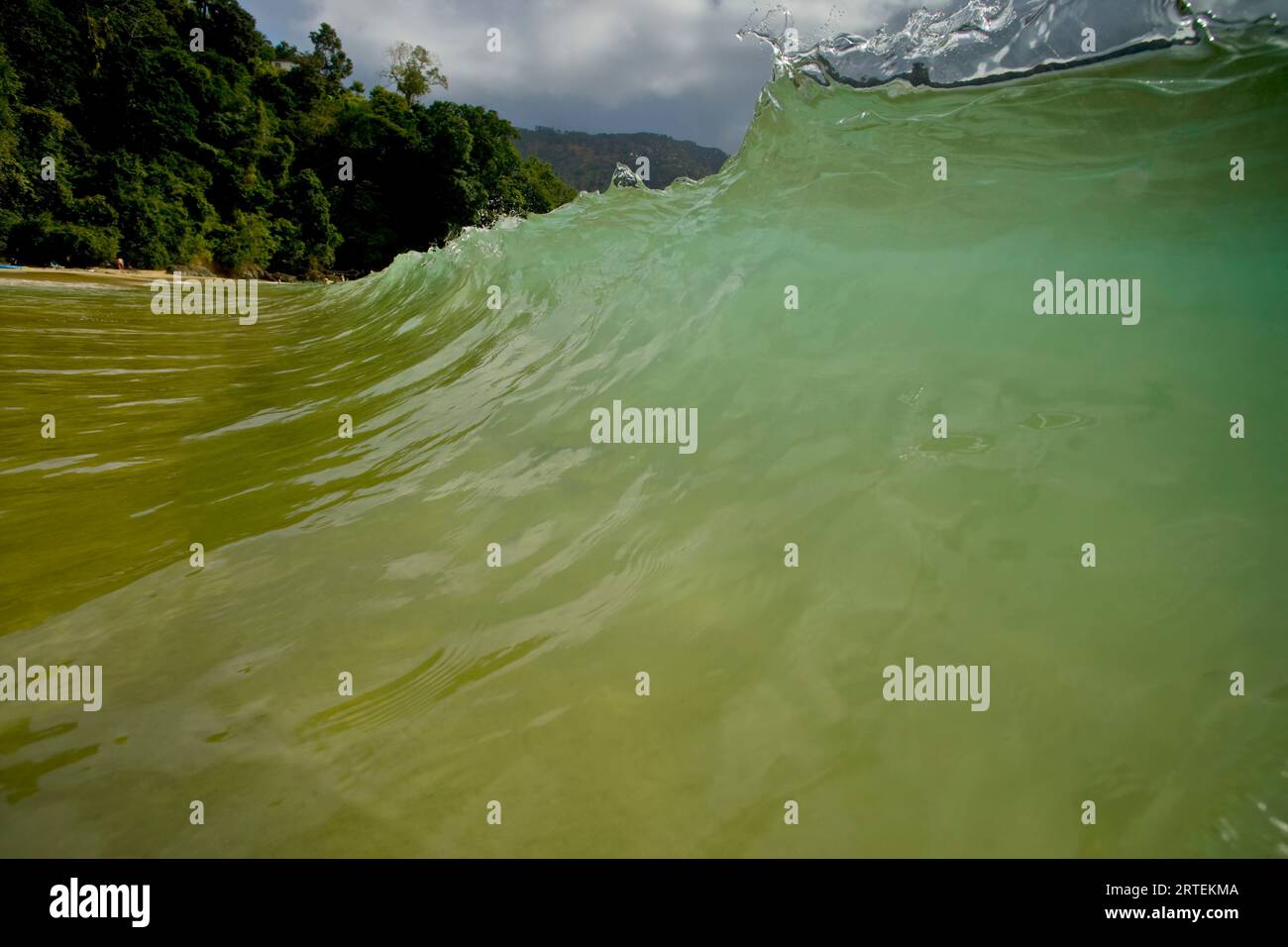 Cresting a wave hi-res stock photography and images - Alamy