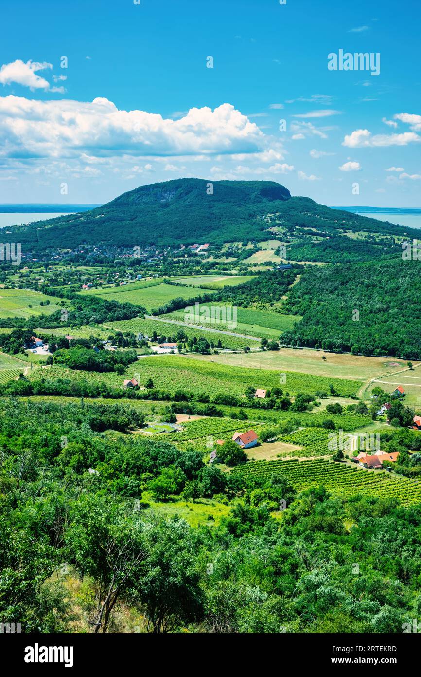 Badacsony Wine Region near Lake Balaton, Hungary Stock Photo - Alamy