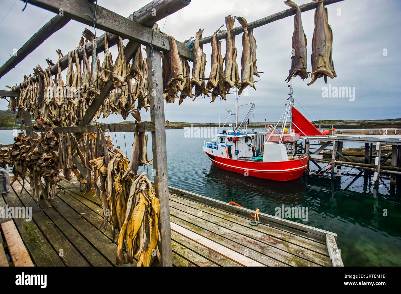 Drying cod at the fishing village of Lovund; Lovund Island, Norway ...