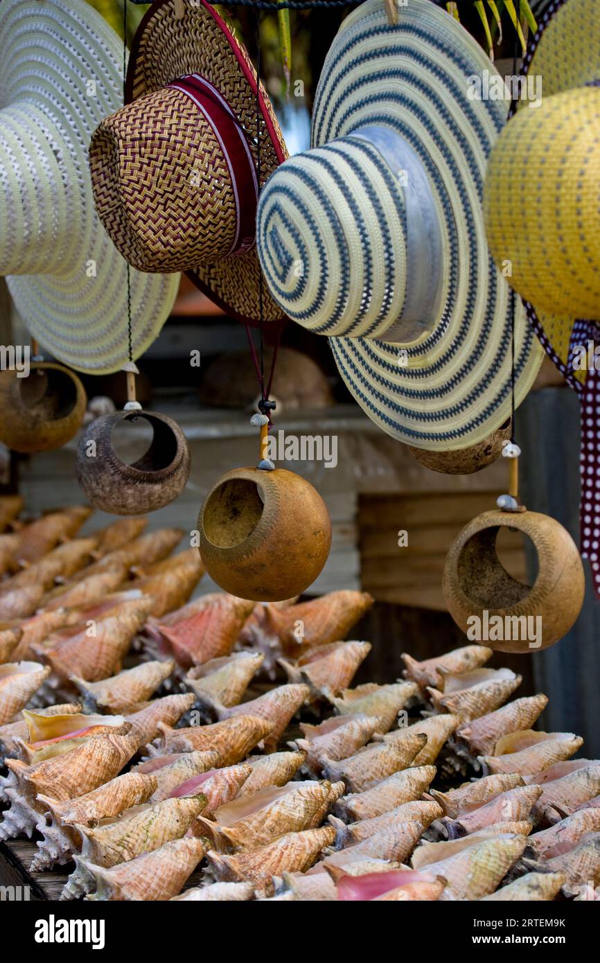 Conch shells souvenirs hi-res stock photography and images - Alamy