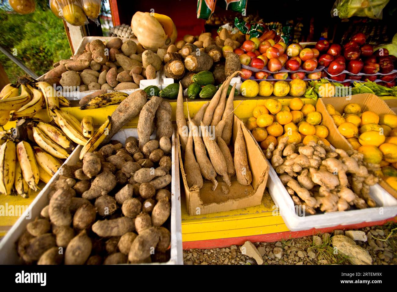 Caribbean Fruits And Vegetables