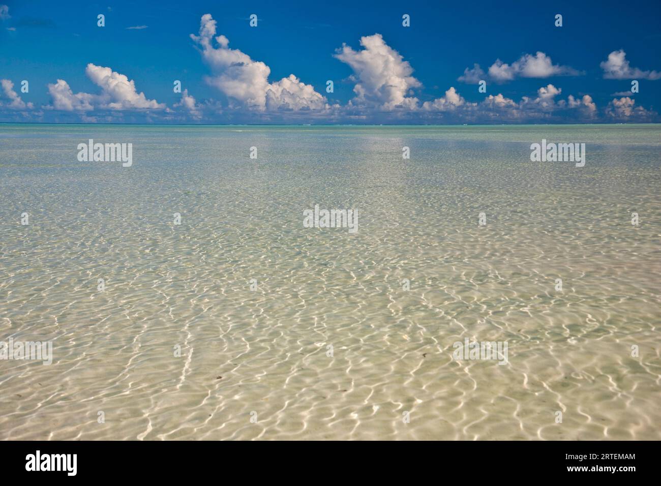 Clear, shallow water off the coast of St. Francois Atoll; St. Francois ...