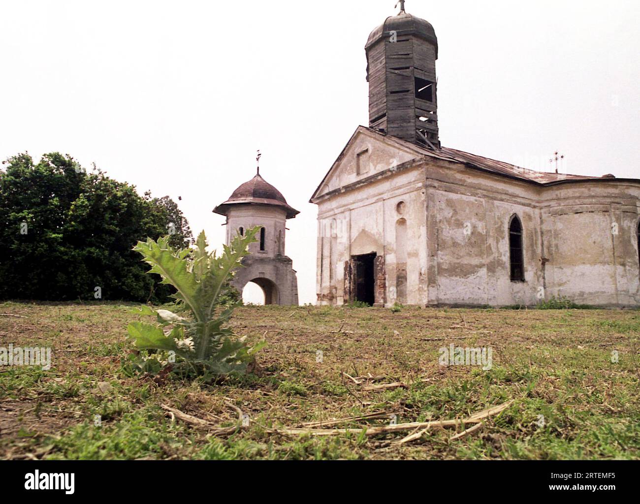 Magureni hi-res stock photography and images - Alamy