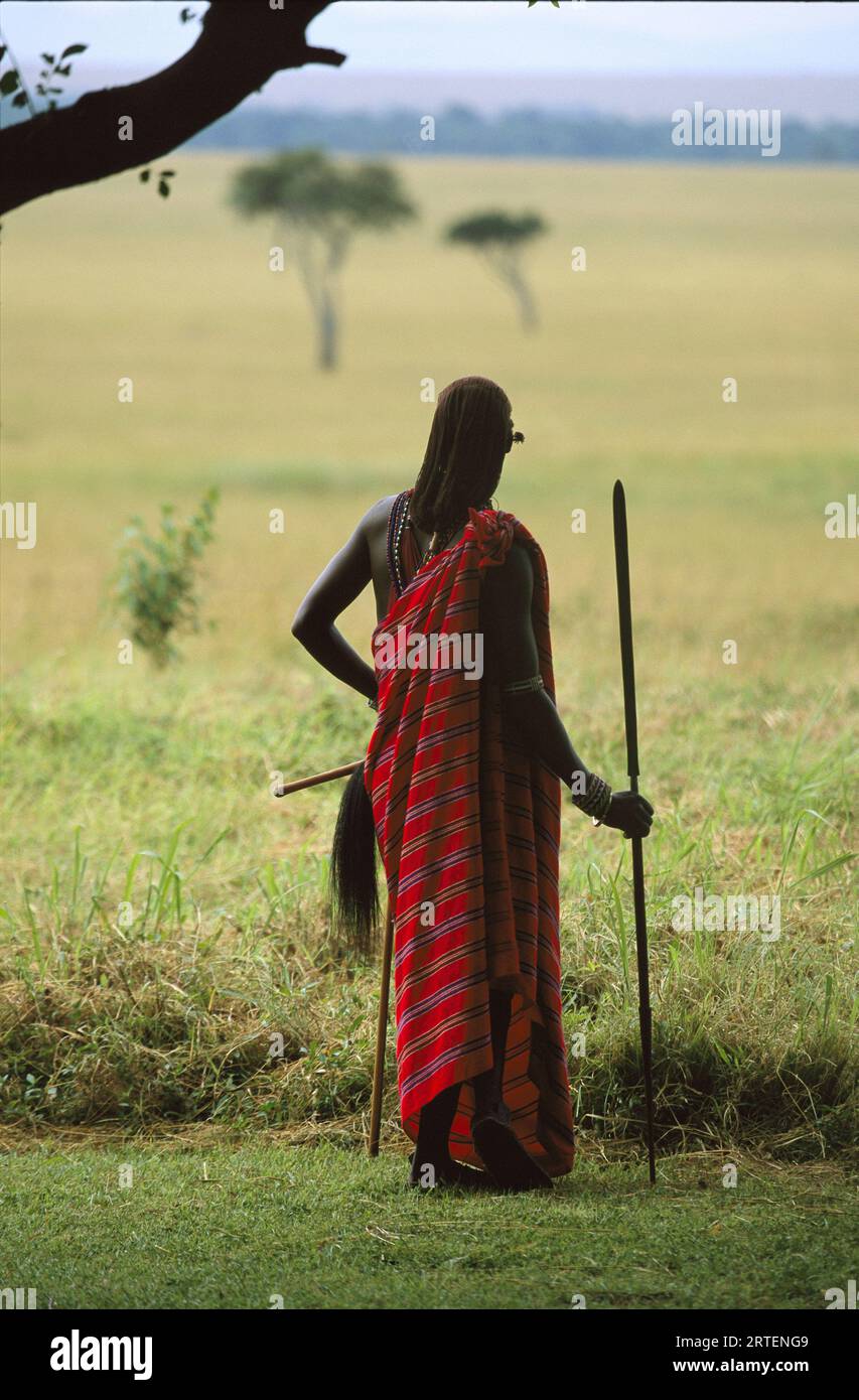 Masai warrior with a spear looking out over grasslands in Masai Mara ...