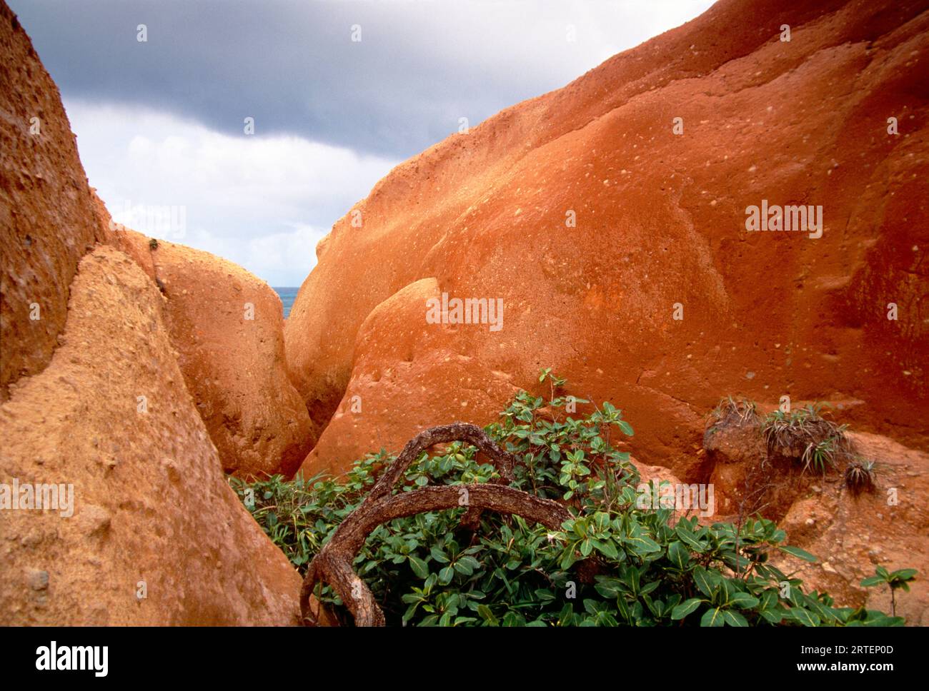 On Red Rock beach, the sea pokes through two rocks, where a tree limb ...