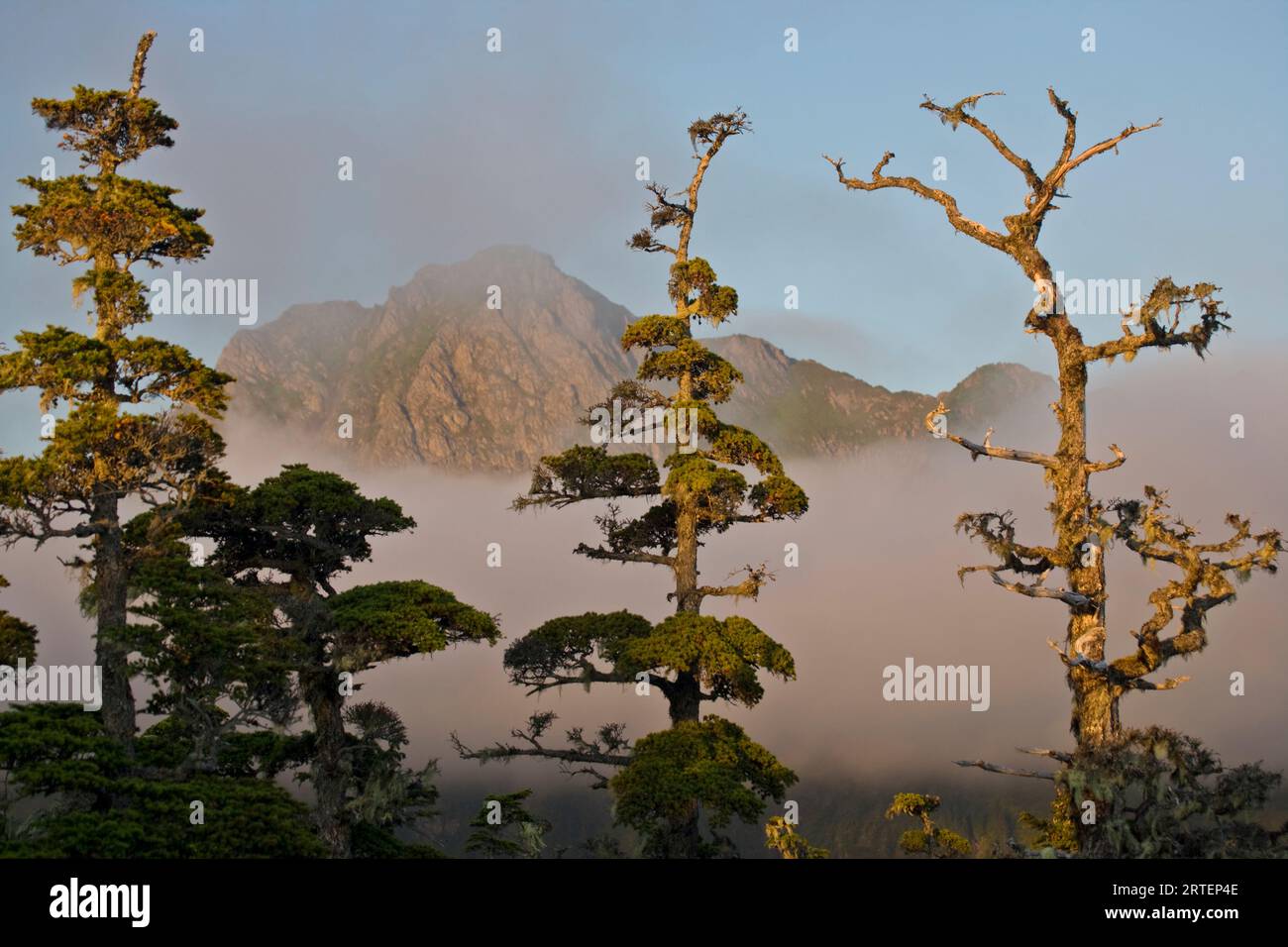 Sitka mountain hi-res stock photography and images - Alamy
