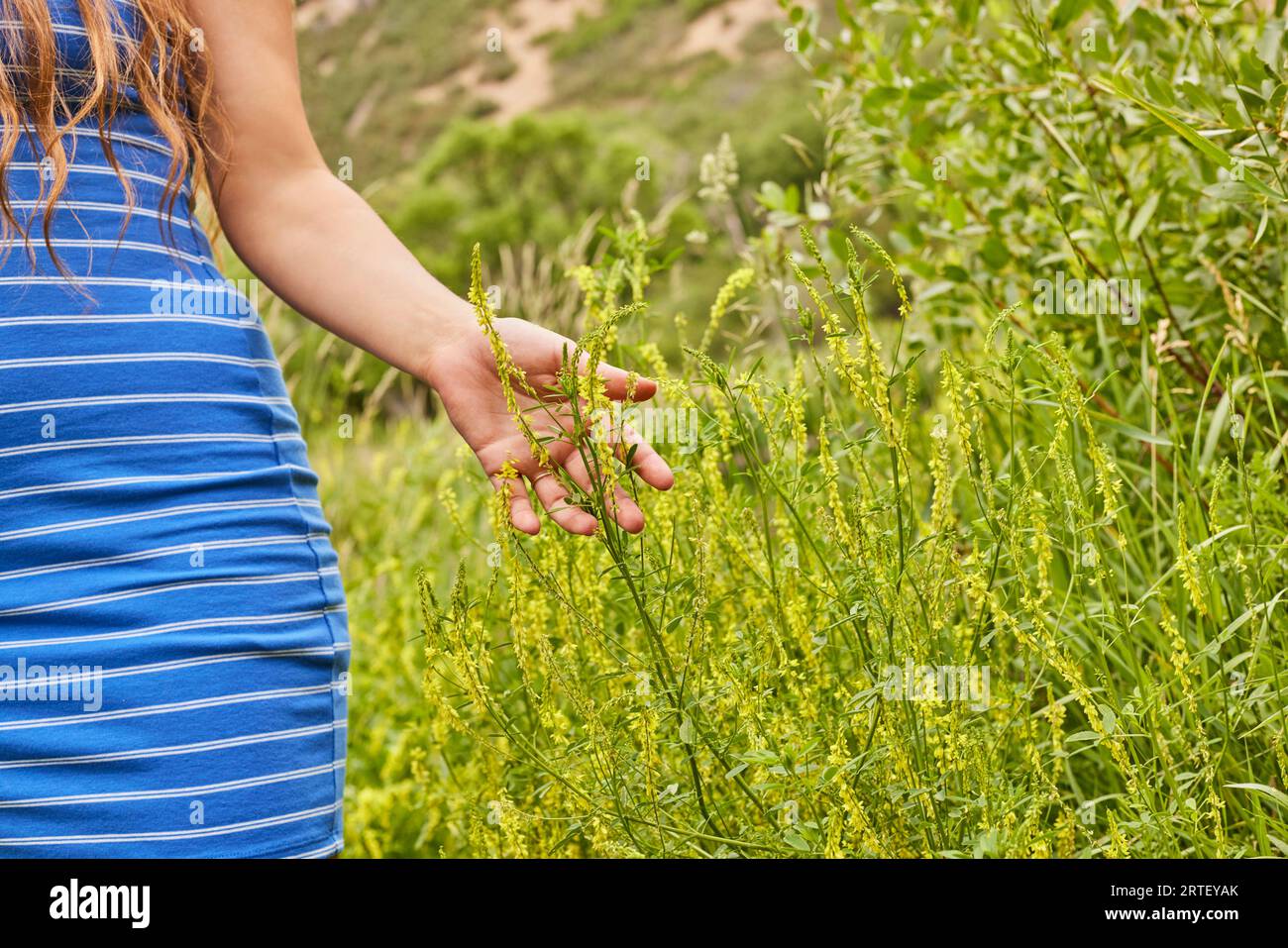 Human hand touching grass hi-res stock photography and images - Alamy
