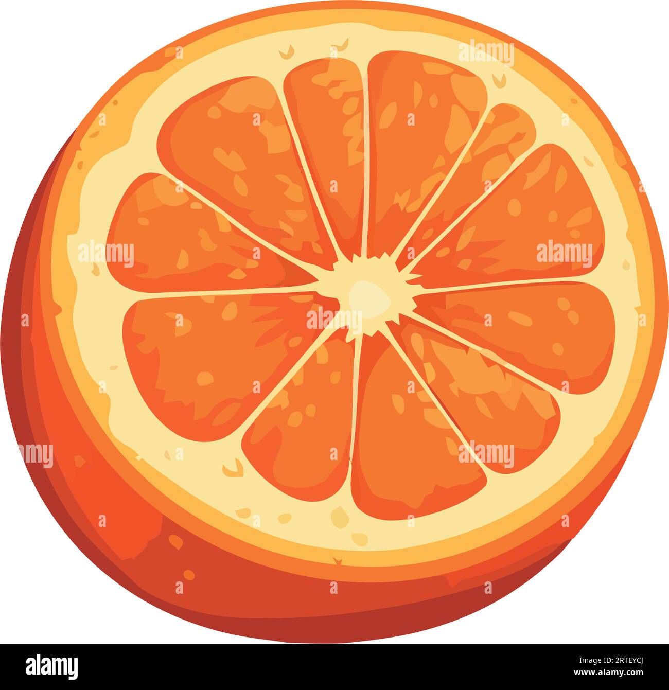 Fresh citrus slices, healthy summer refreshment design Stock Vector ...