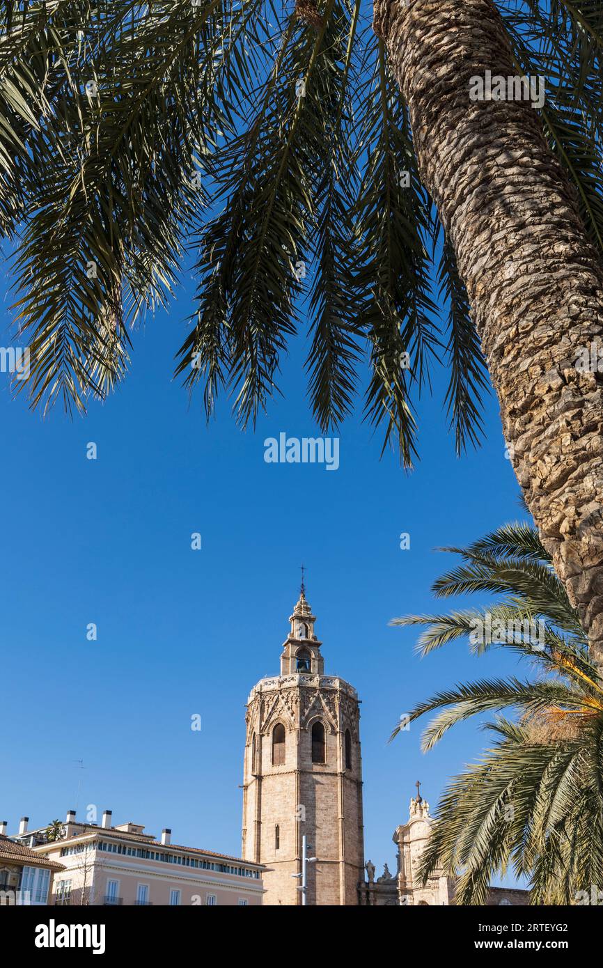 Spain, Valencia, Bell tower of Valencia Cathedral and palm trees Stock ...