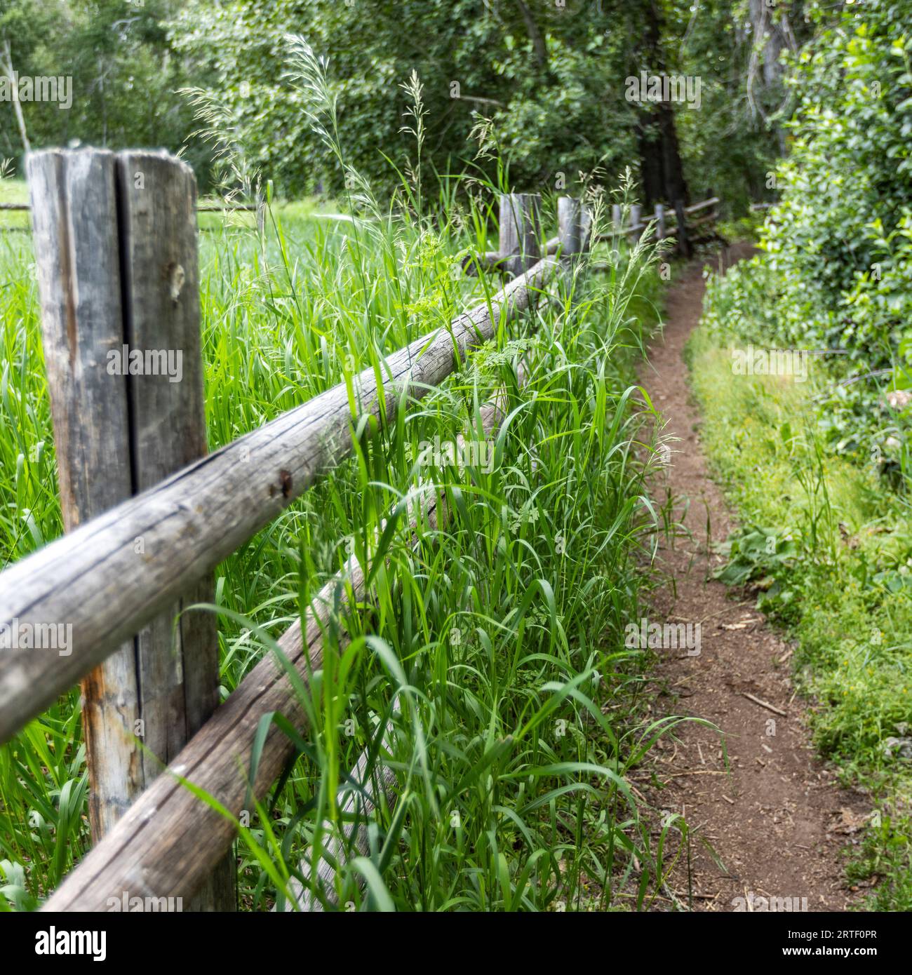 Empty footpath next to rail fence with grass Stock Photo - Alamy