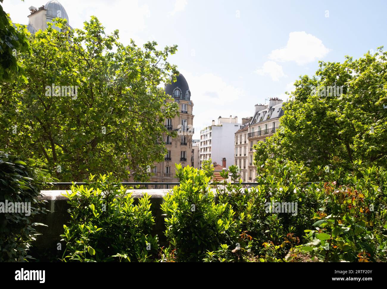 France, Paris, Lush trees in front of buildings in city Stock Photo - Alamy