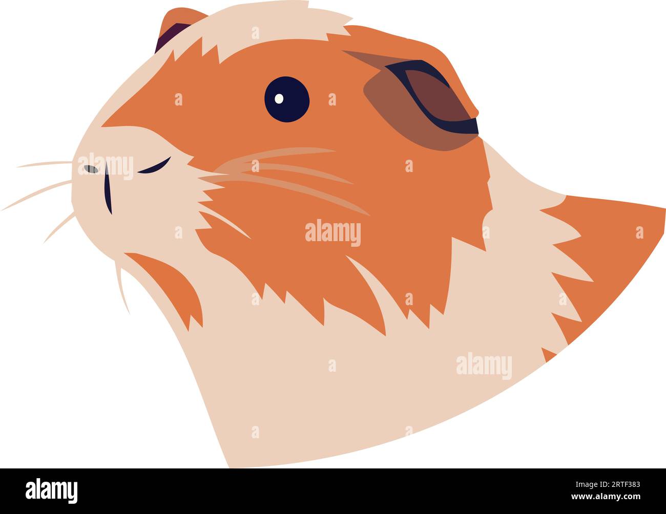 Cute rat mascot with orange fur and whiskers Stock Vector Image & Art ...