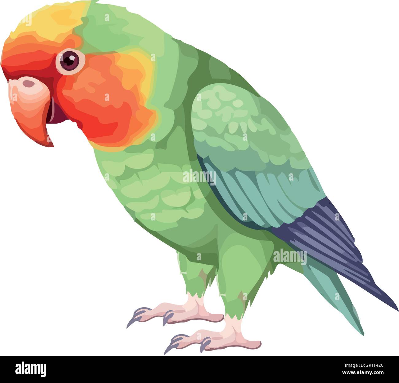 Multi-colored macaw flying on tropical branch Stock Vector Image & Art ...