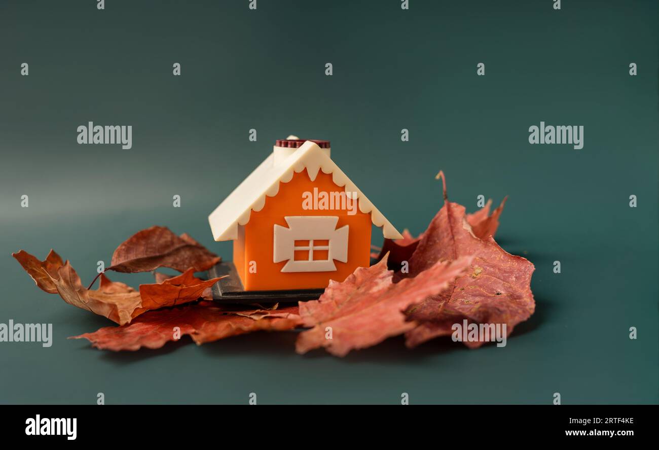 Dry maple leaves around a miniature orange house on a green background ...