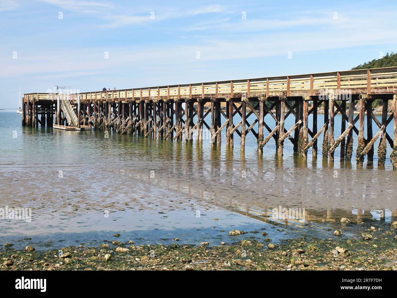 Vintage restored long wooden pier with barnacle crusted timber pilings ...