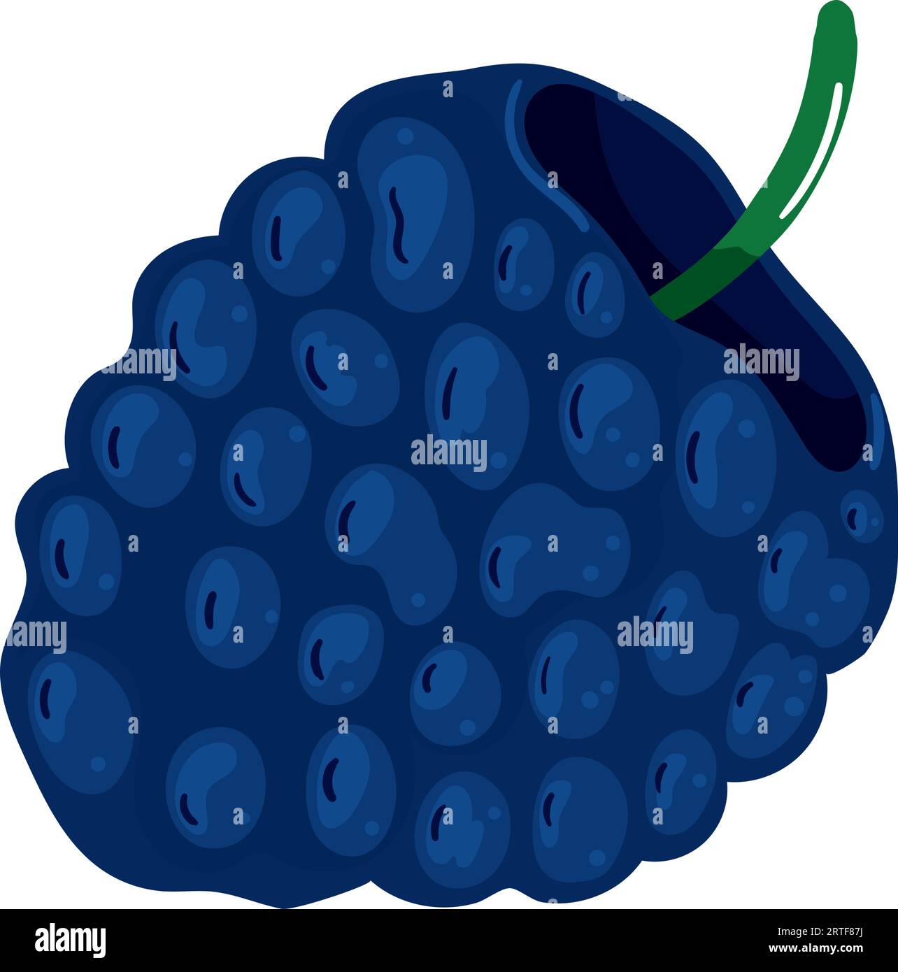 blueberry fresh fruit icon design Stock Vector Image & Art - Alamy