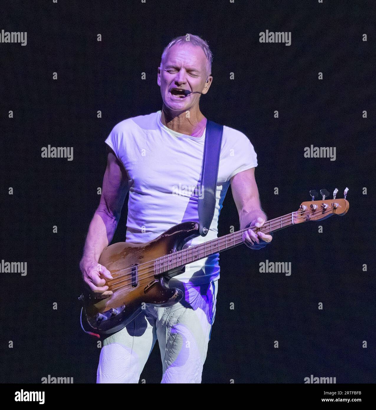 Sting 2023 hi-res stock photography and images - Alamy