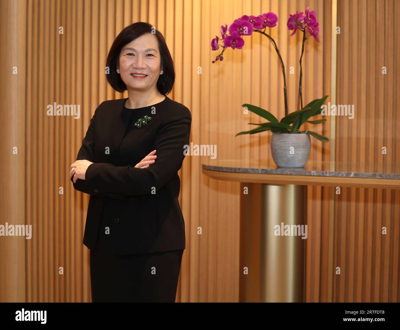 Helen Wong, CEO, OCBC (Singapore Press via AP Images Stock Photo - Alamy