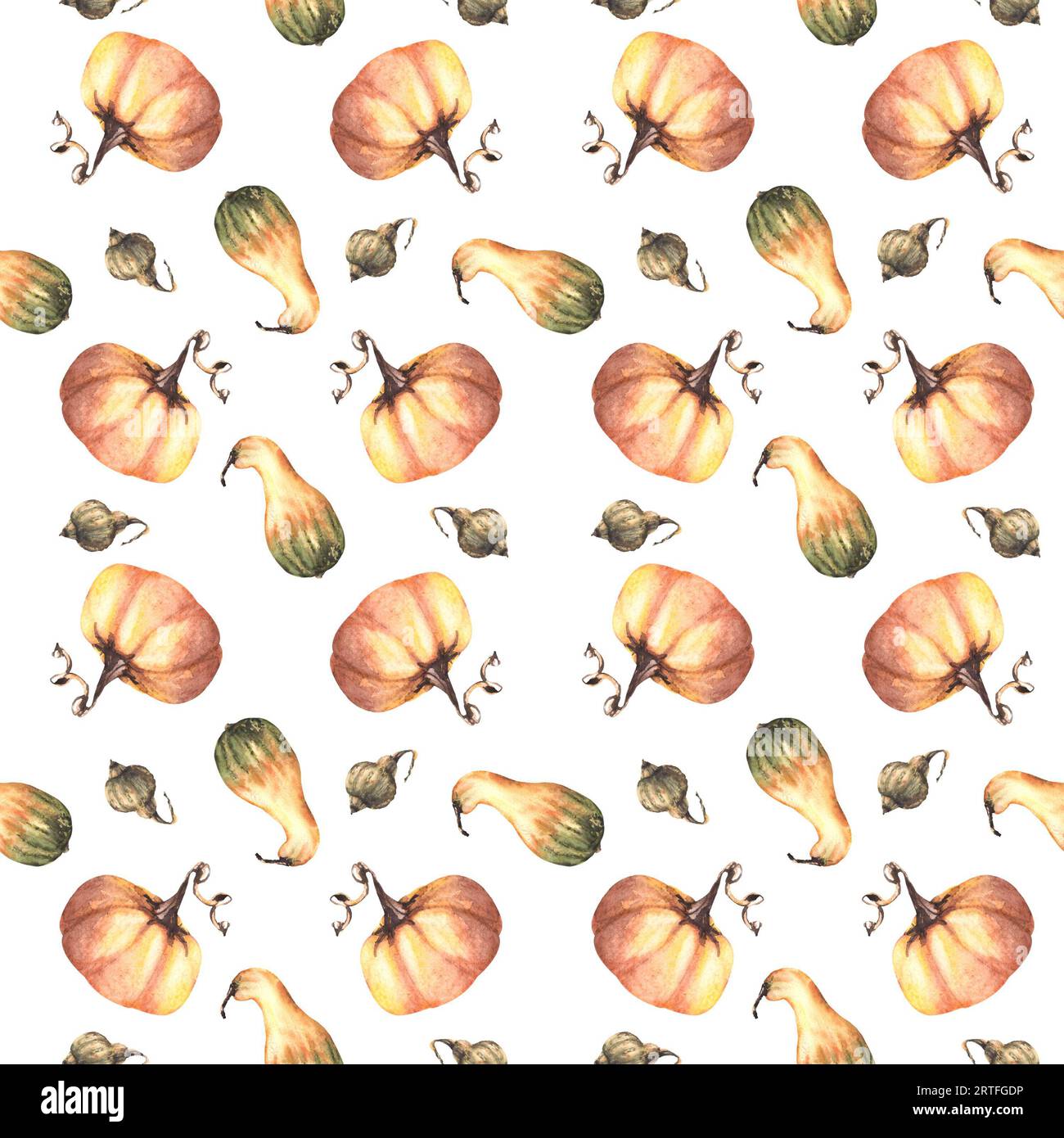 Vegetable seamless pumpkins colorful pattern. Isolated white background ...