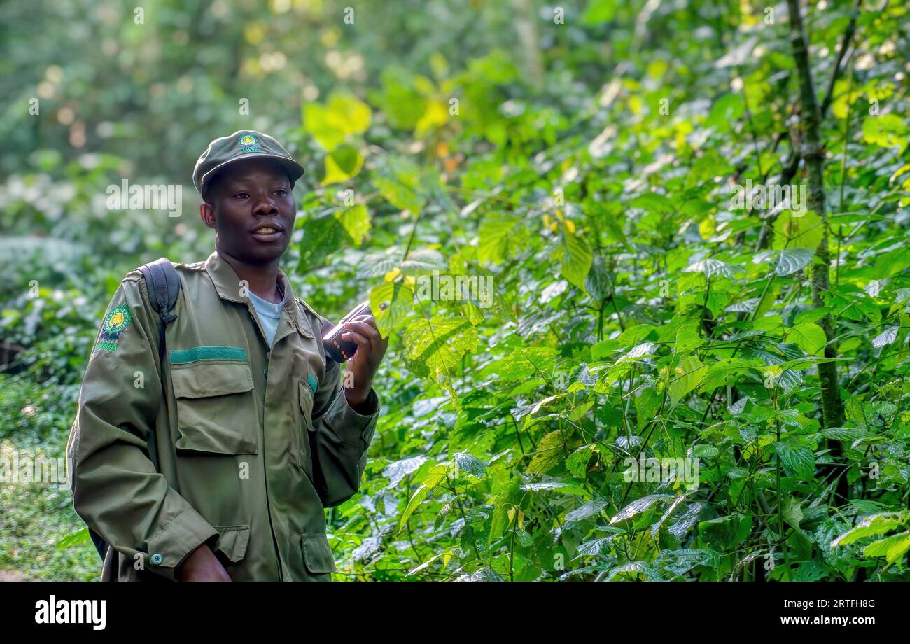 Park ranger uniform forest hi-res stock photography and images - Alamy
