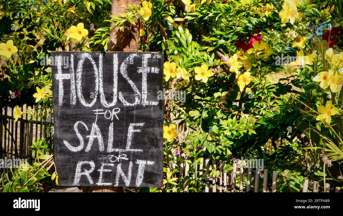 A chalkboard sign advertising a house for sale or for rent, on Mindoro ...