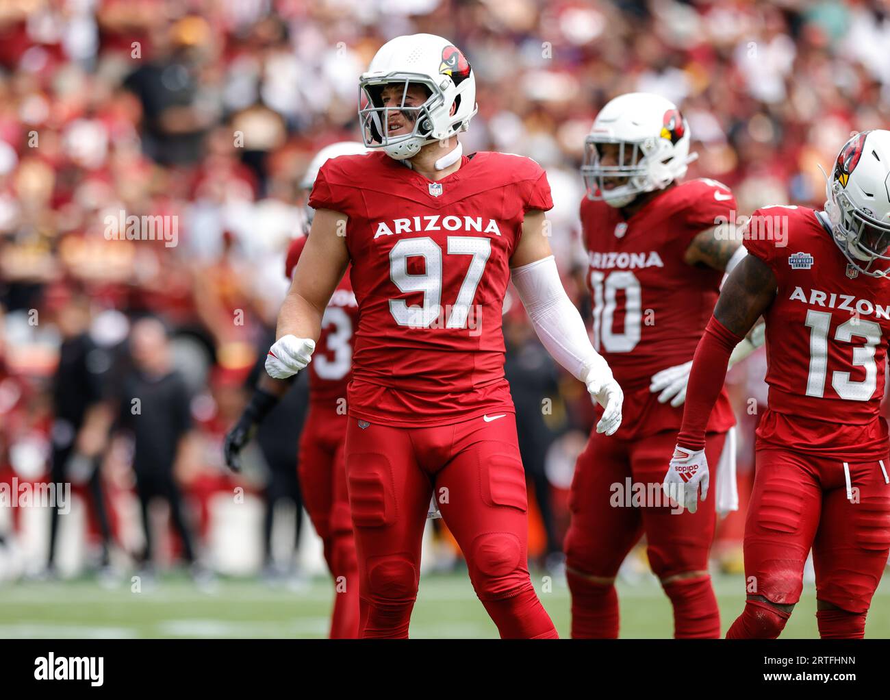 Cameron thomas cardinals hi-res stock photography and images - Alamy
