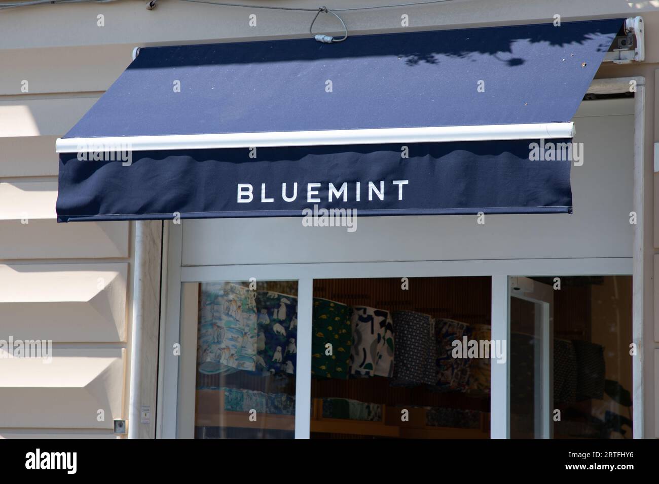 Bluemint hi-res stock photography and images - Alamy